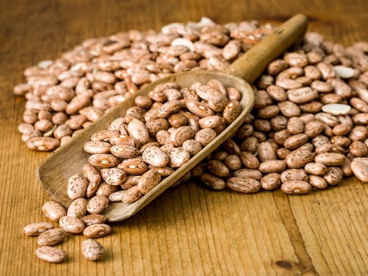 Can Cats Eat Pinto Beans? | Waldo's Friends