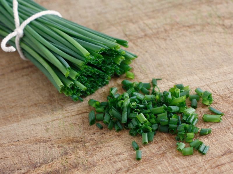 Can Cats Eat Chives? | Waldo's Friends