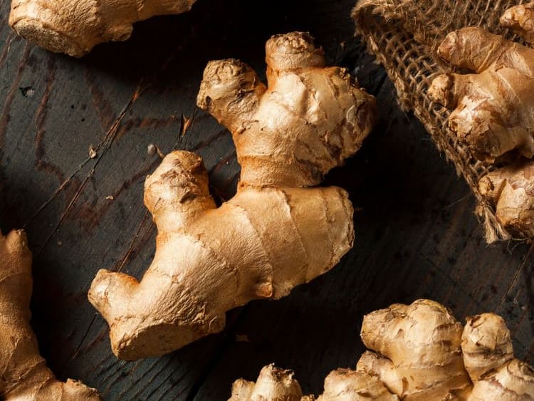 Can Cats Eat Ginger? | Waldo's Friends