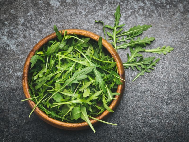 Can Cats Eat Rocket? | Waldo's Friends