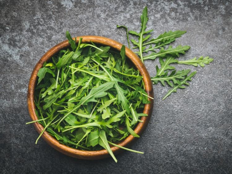 Can Cats Eat Rocket? | Waldo's Friends