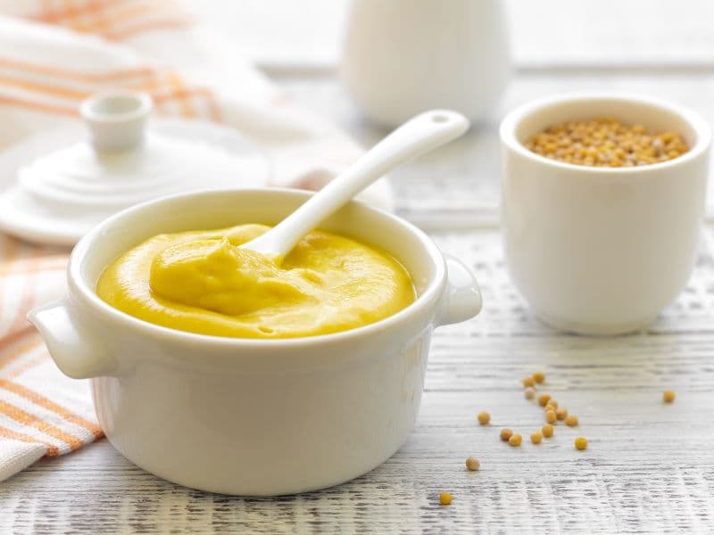 Can Cats Eat Mustard? | Waldo's Friends