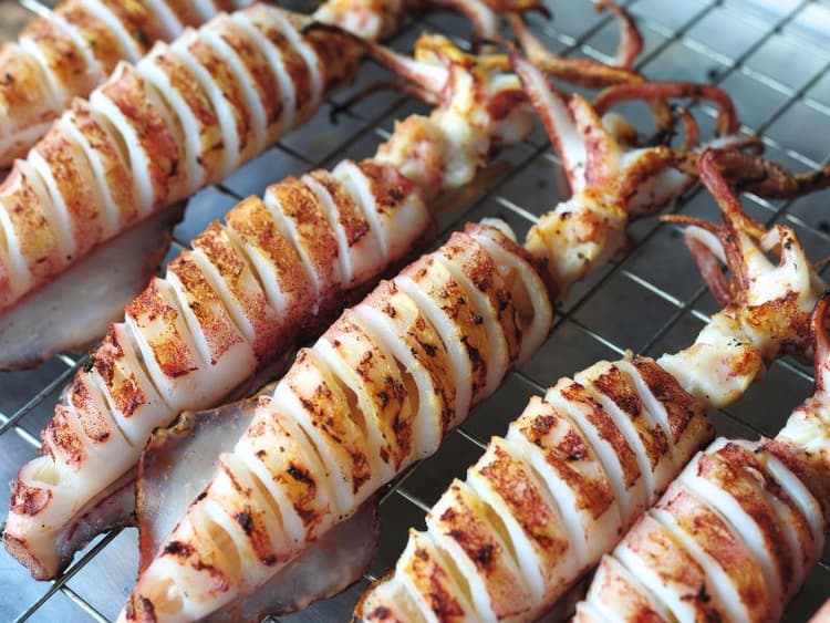 Can Cats Eat Squid? | Waldo's Friends