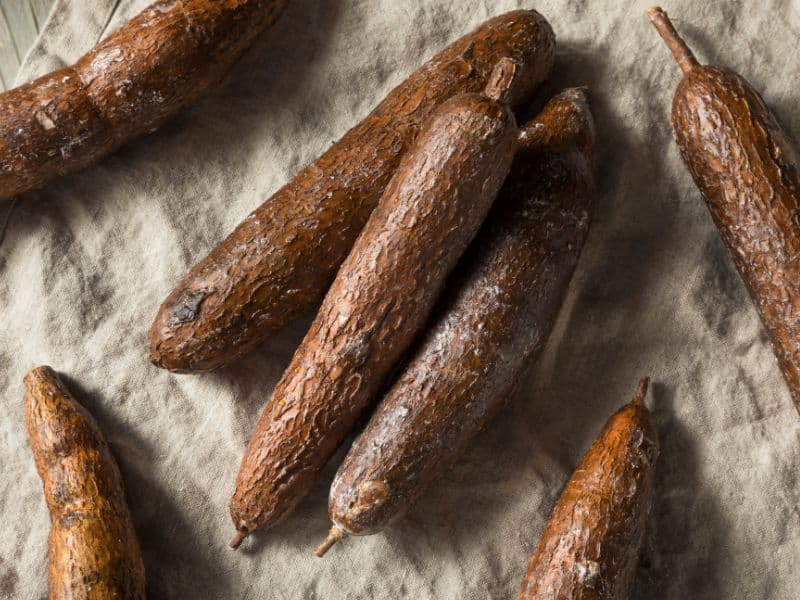 Can Dogs Eat Yuca Root? | Waldo's Friends